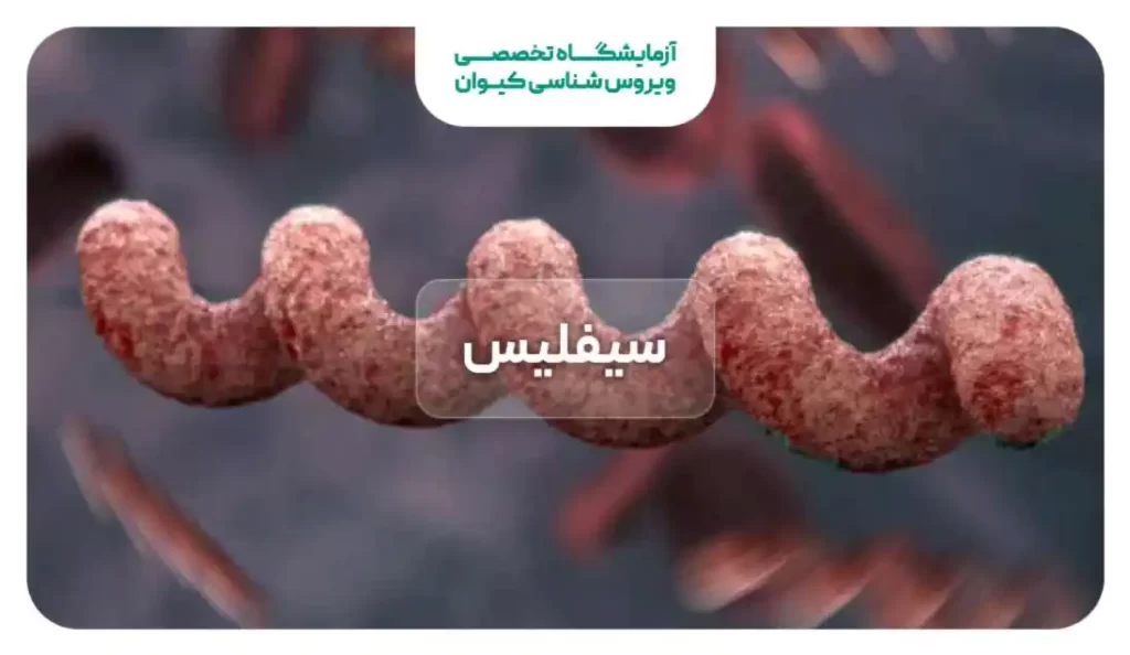 سیفلیس | علائم، تشخیص و راه های انتقال که باید بدانید